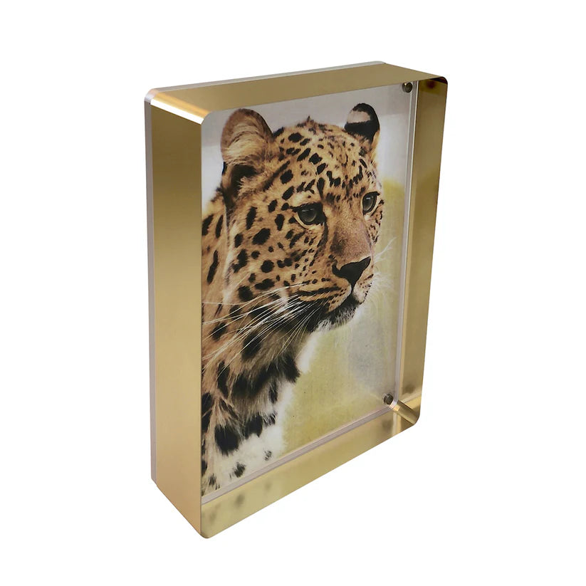 Prestige Magnet Frame Gold 4x6-Frame : 4 x 6 – The Purple Finch Home ...